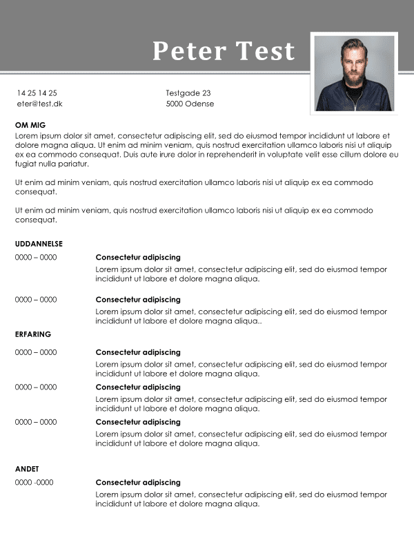 cv skabelon - enkel opsætning