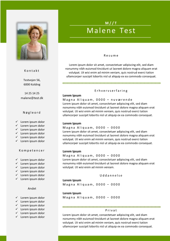 Layout - kompetence CV med personlige og faglige egenskaber - blå ...