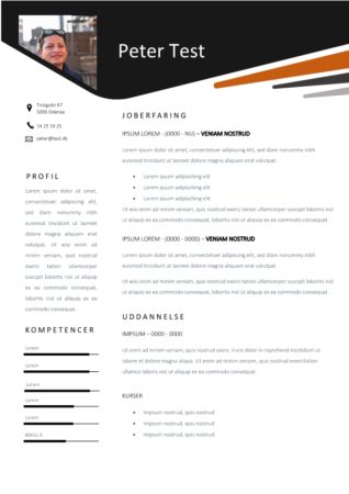 Layout & CV skabeloner Arkiv - Skrivansøgning